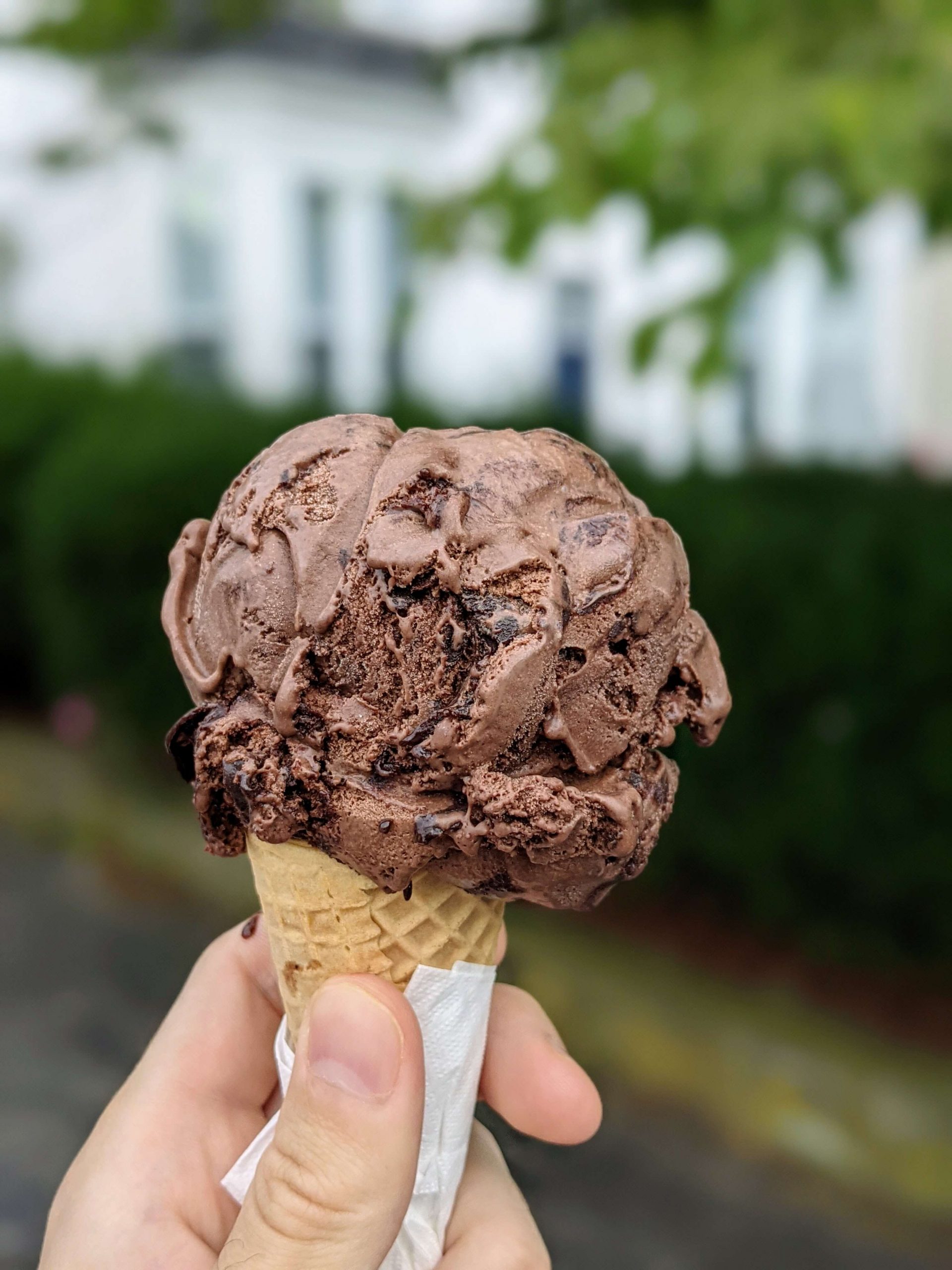 Top Ice Cream Shops In Rhode Island - And Ones To Avoid! - Victors Biscuits